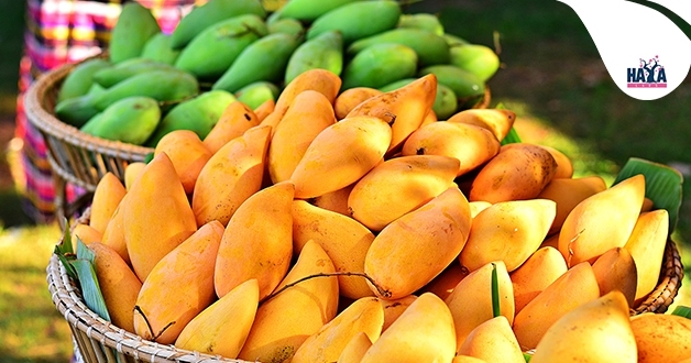 African Mango - benefits for your health