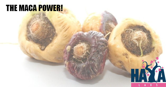 The Maca Power!